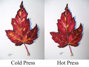 Difference Between Cold Press and Hot Press – Let's Paint Nature!