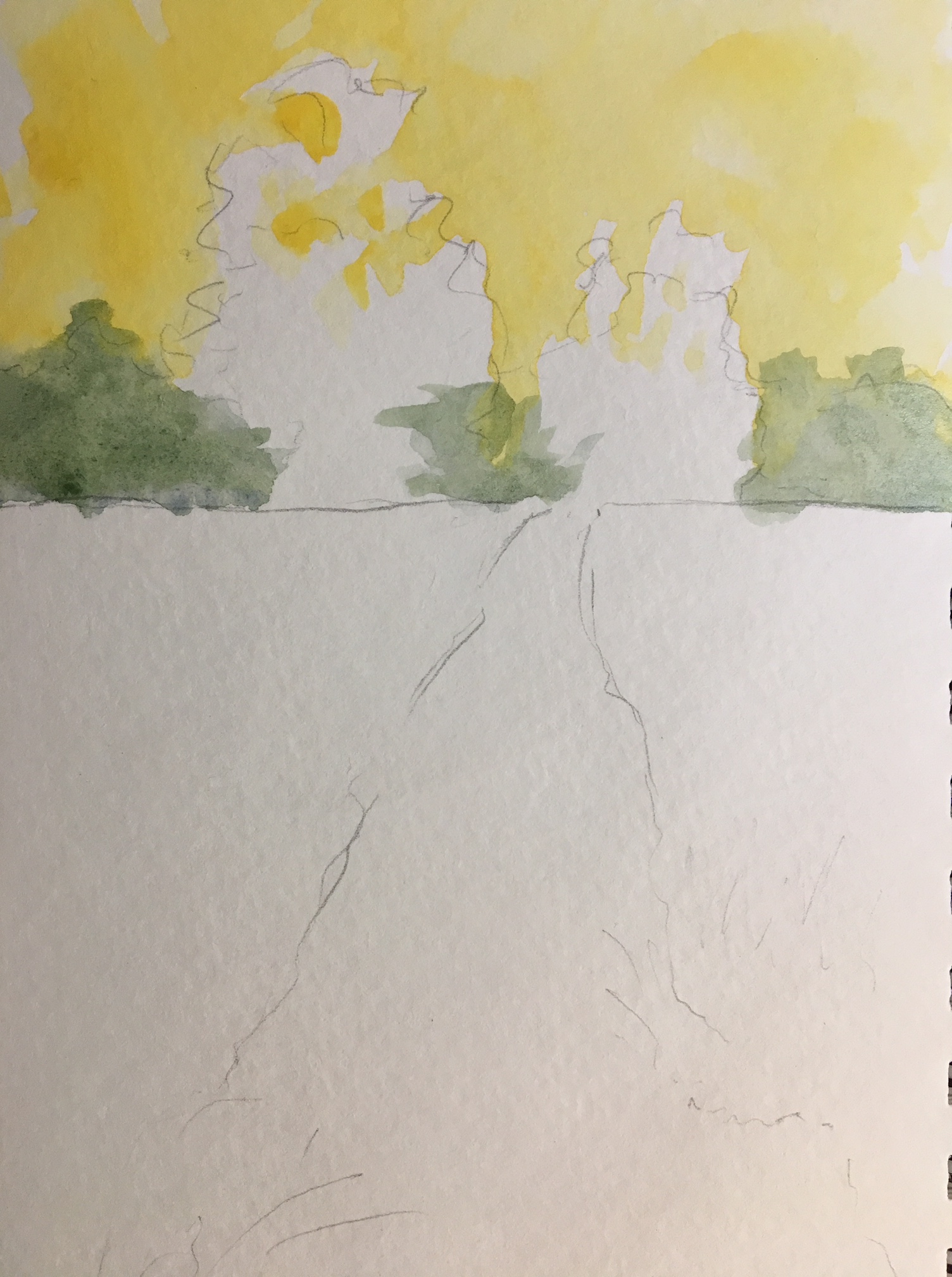Let’s Paint a Simple Sloppy Sketch – Let's Paint Nature!